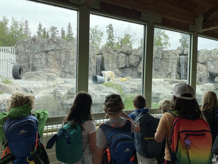 Alaska Zoo Adventure Camps - Cool Kids Camps